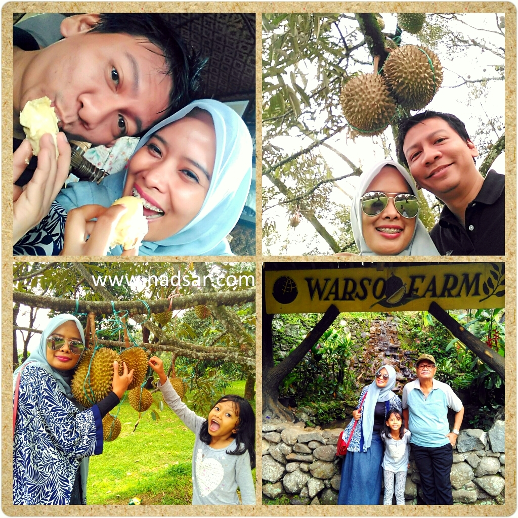 warso 2.jpg – The nadsar's